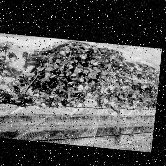 Object-Detection Object Detection Dataset by MySpace