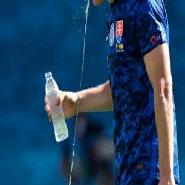 Spitting Prevention System Object Detection Model by Jaydev zala