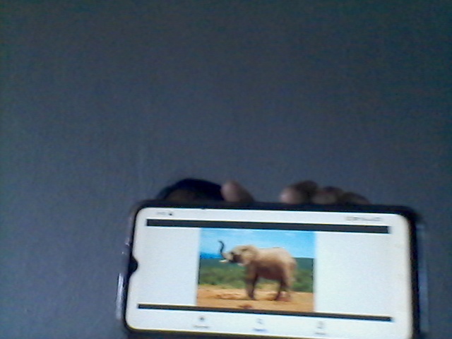 Yolov8 Custom Obj Detect Yt Object Detection Dataset And Pre Trained Model By Gnani