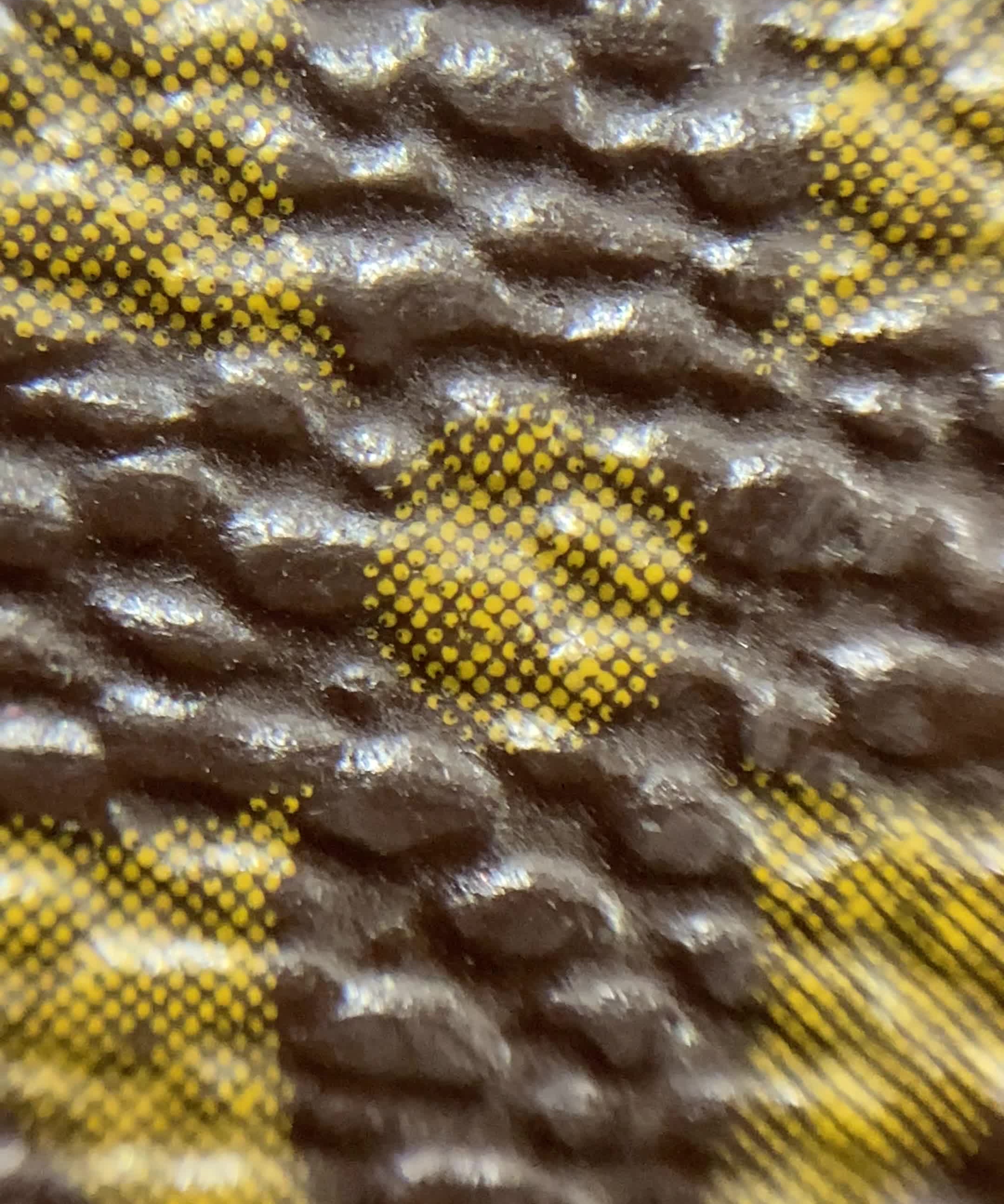 p04_material_v1_1 Classification Dataset by LVBag