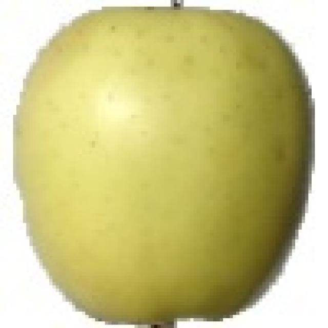 food detection Object Detection Model by ddyy