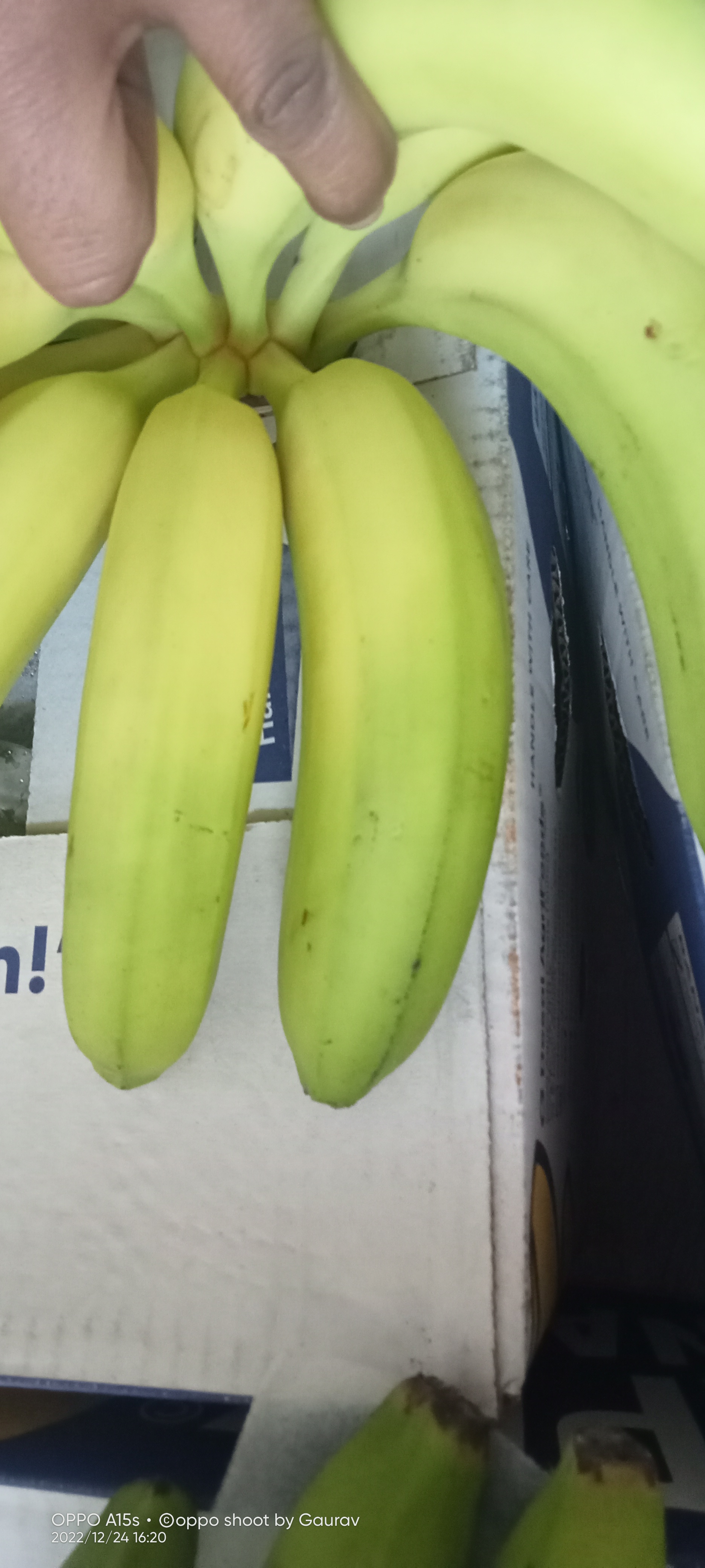 Banana Model Object Detection Dataset by Banana