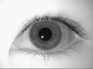 Iris and pupil detection Object Detection Model by S11