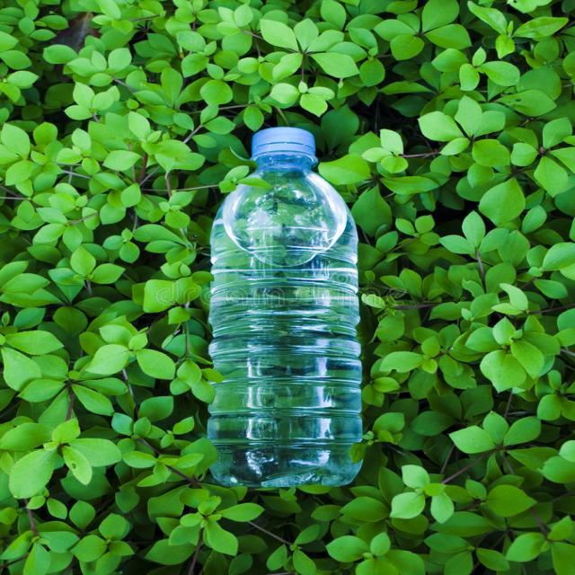 Bottle Defect Classification Classification Dataset And Pre Trained