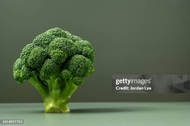 Broccoli Object Detection Model by ye