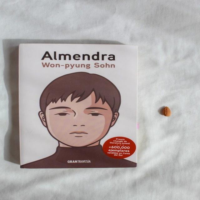 book Object Detection Dataset by TestYolo