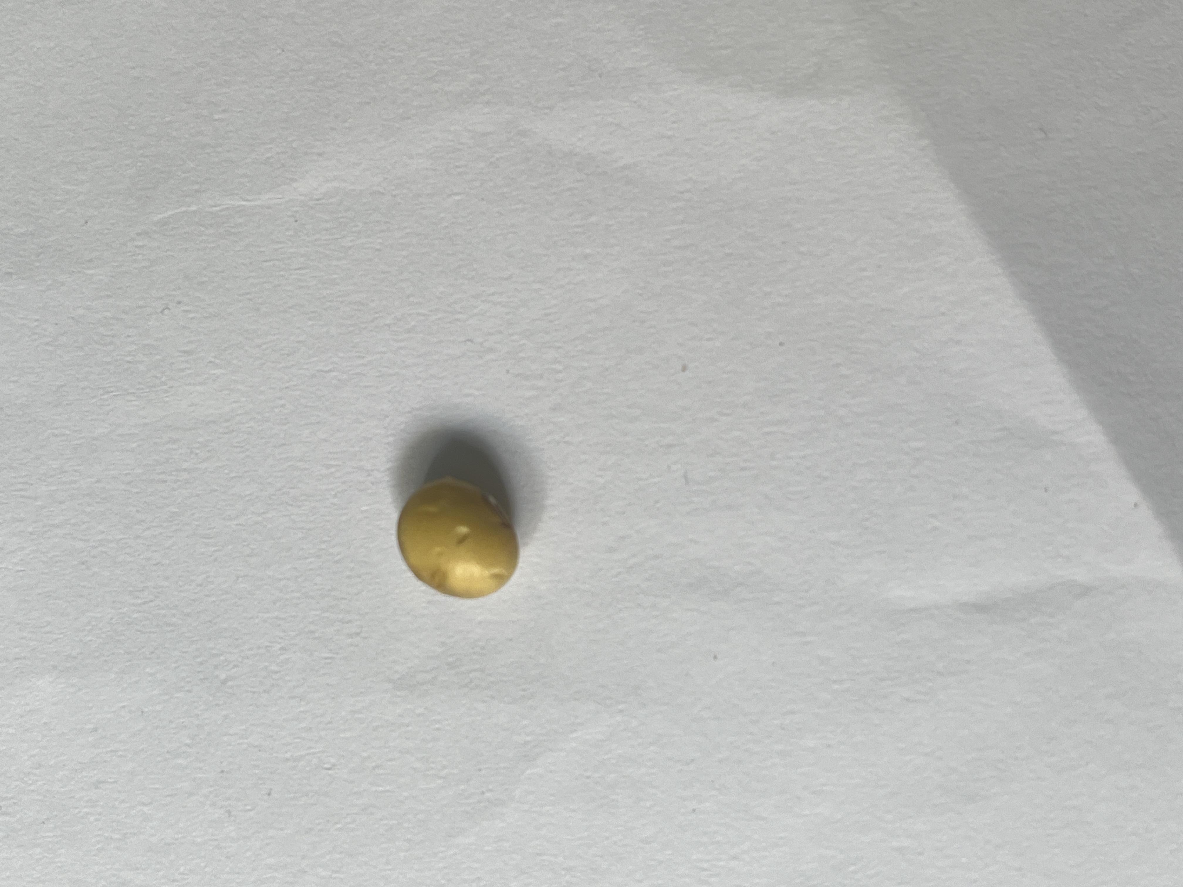 1 Object Detection Dataset And Pre Trained Model By Projects