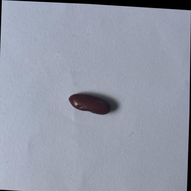 Projects (projects-vclkw) - Roboflow Universe