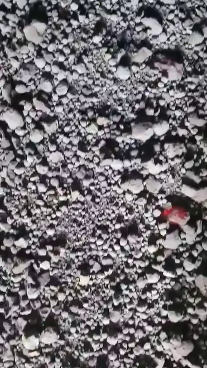 maskrcnn Instance Segmentation Dataset by hansol