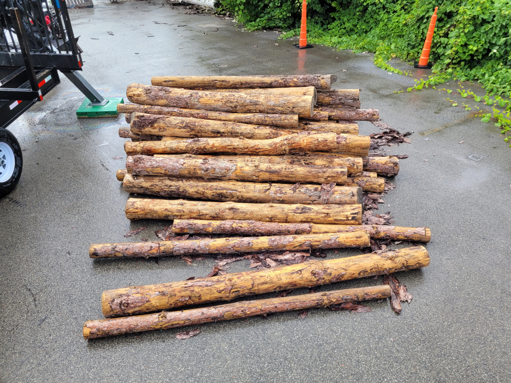 log_detection Instance Segmentation Model by moho