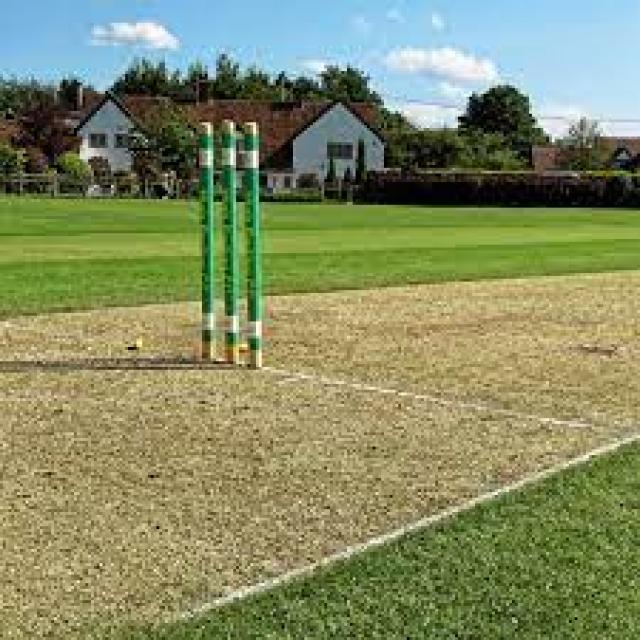 Cricket Object Detection Dataset And Pre Trained Model By Cricket