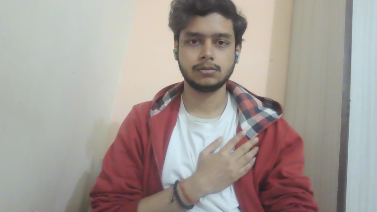 yolov5-demo Object Detection Dataset by aryan workspace