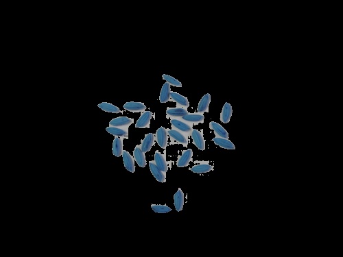 Rice Seed Detect Instance Segmentation Dataset by University of Science and Technology of Hanoi