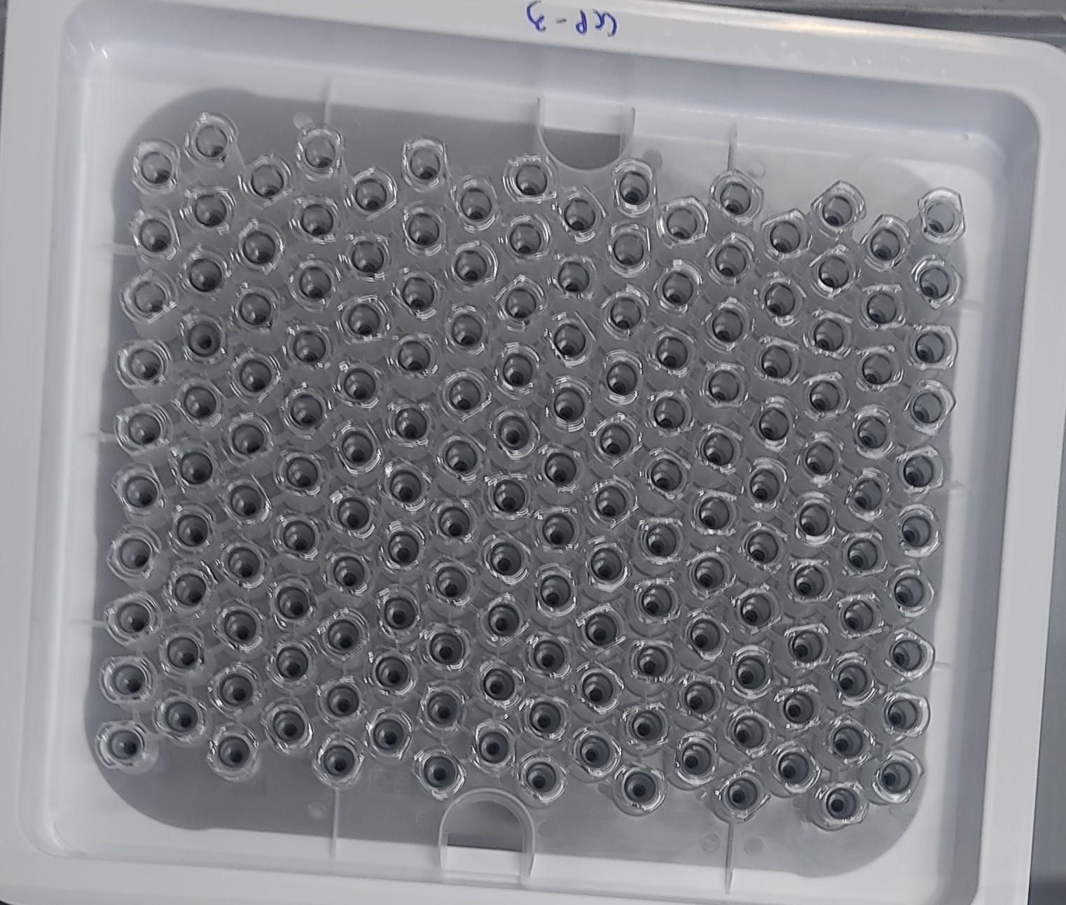 pfs Object Detection Dataset by Vials and PFS