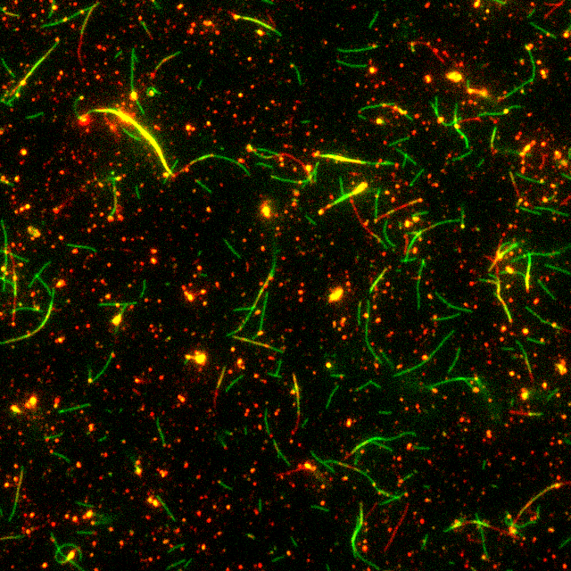 MT_tutrial Object Detection Dataset by labelingswarming