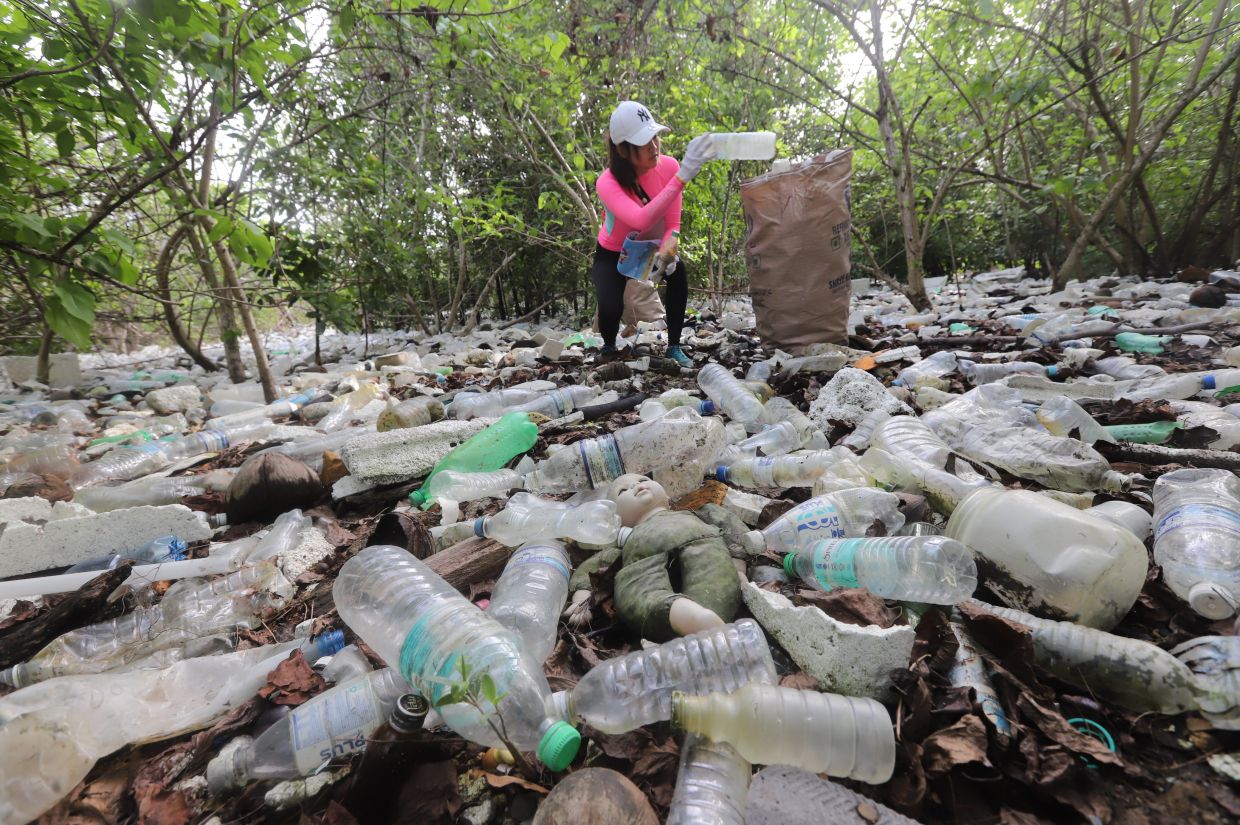 trash Instance Segmentation Dataset by APU