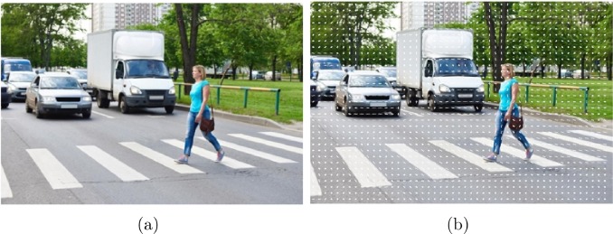 crossing Object Detection Dataset by nivin antony