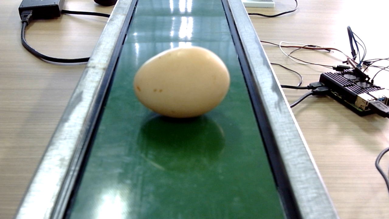 egg Object Detection Dataset and Pre-Trained Model by ae