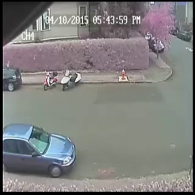 Crime Object Detection Dataset By Projectobject Detection