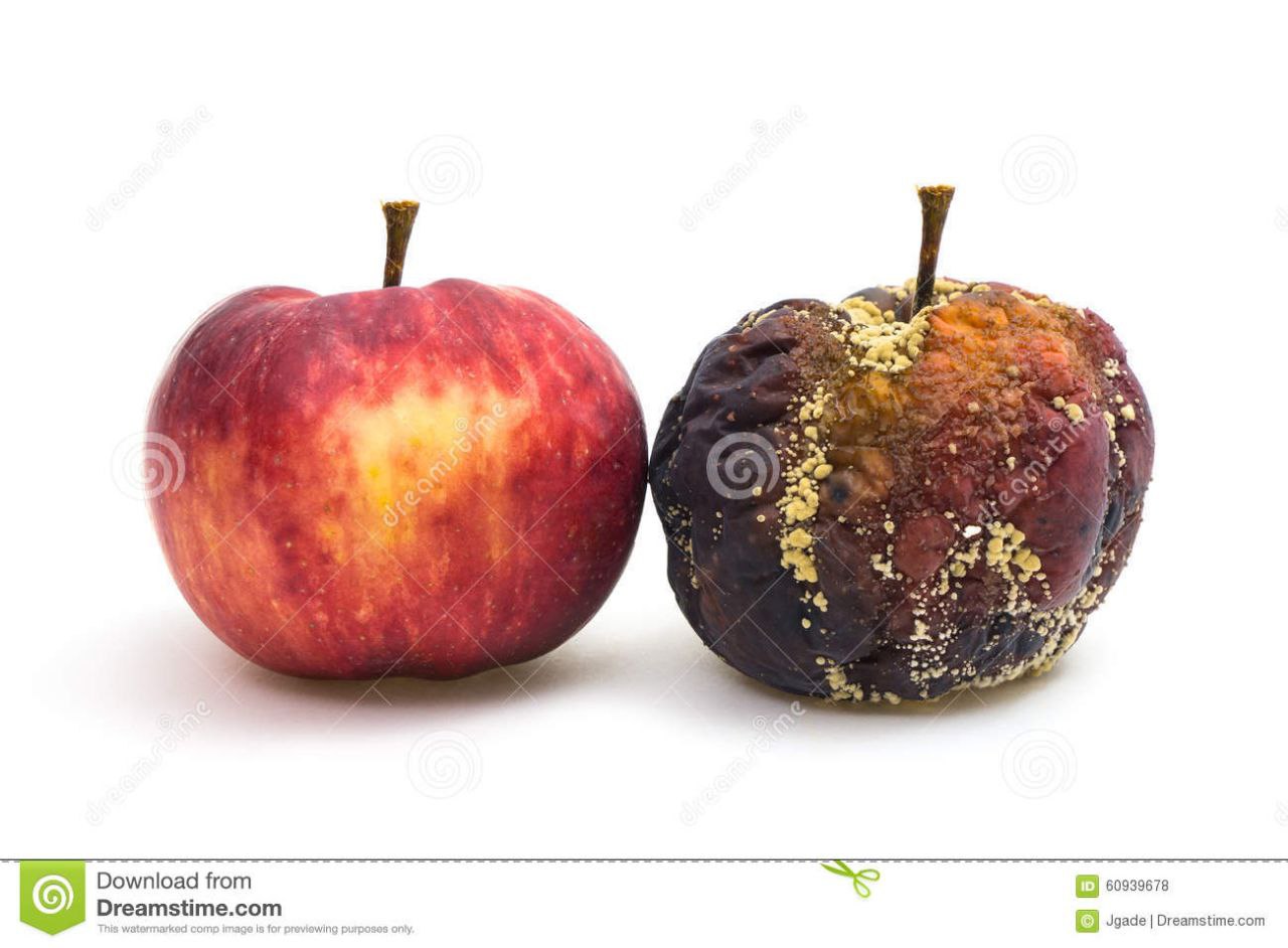 APPLE Object Detection Model by project-jtsxu