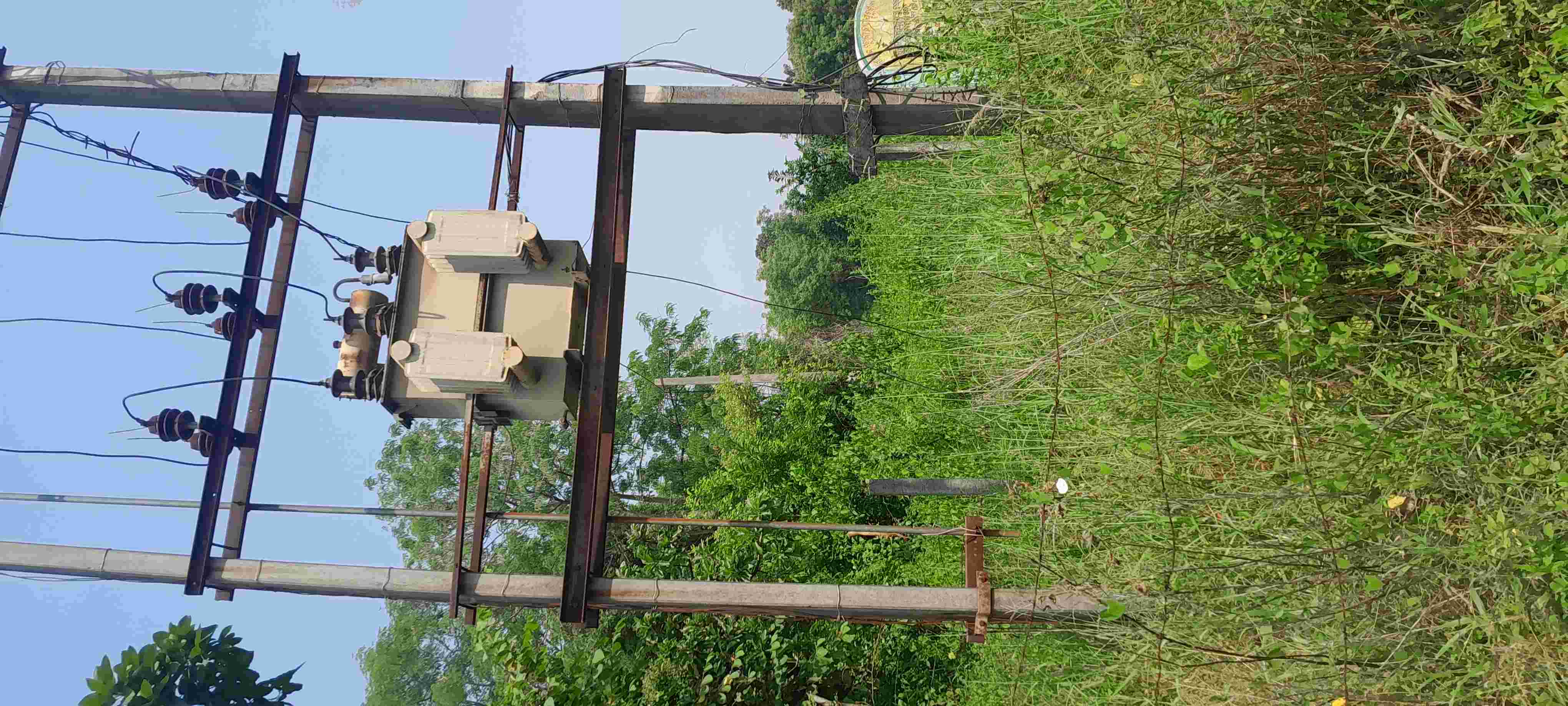 SM Test Object Detection Model by Self