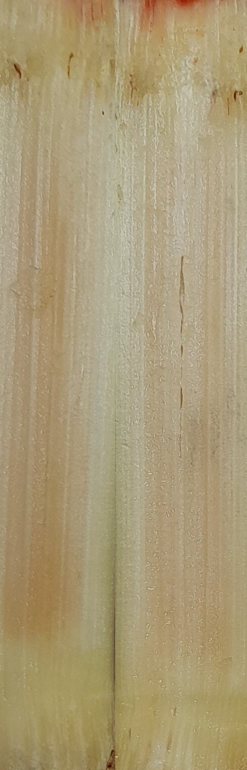 D2-DEMPET Classification Dataset by MEI2