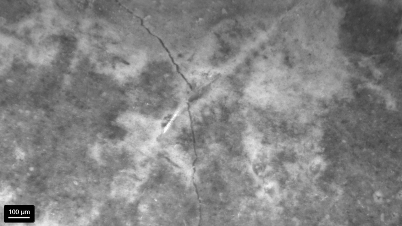 Full Instance Segmentation Dataset and Pre-Trained Model by 3D TRC with ...