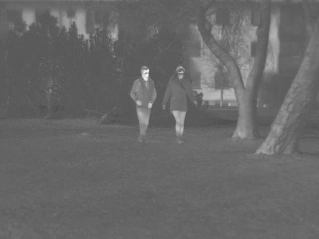 How to Use the Person Detection-YOLOv5 Object Detection API