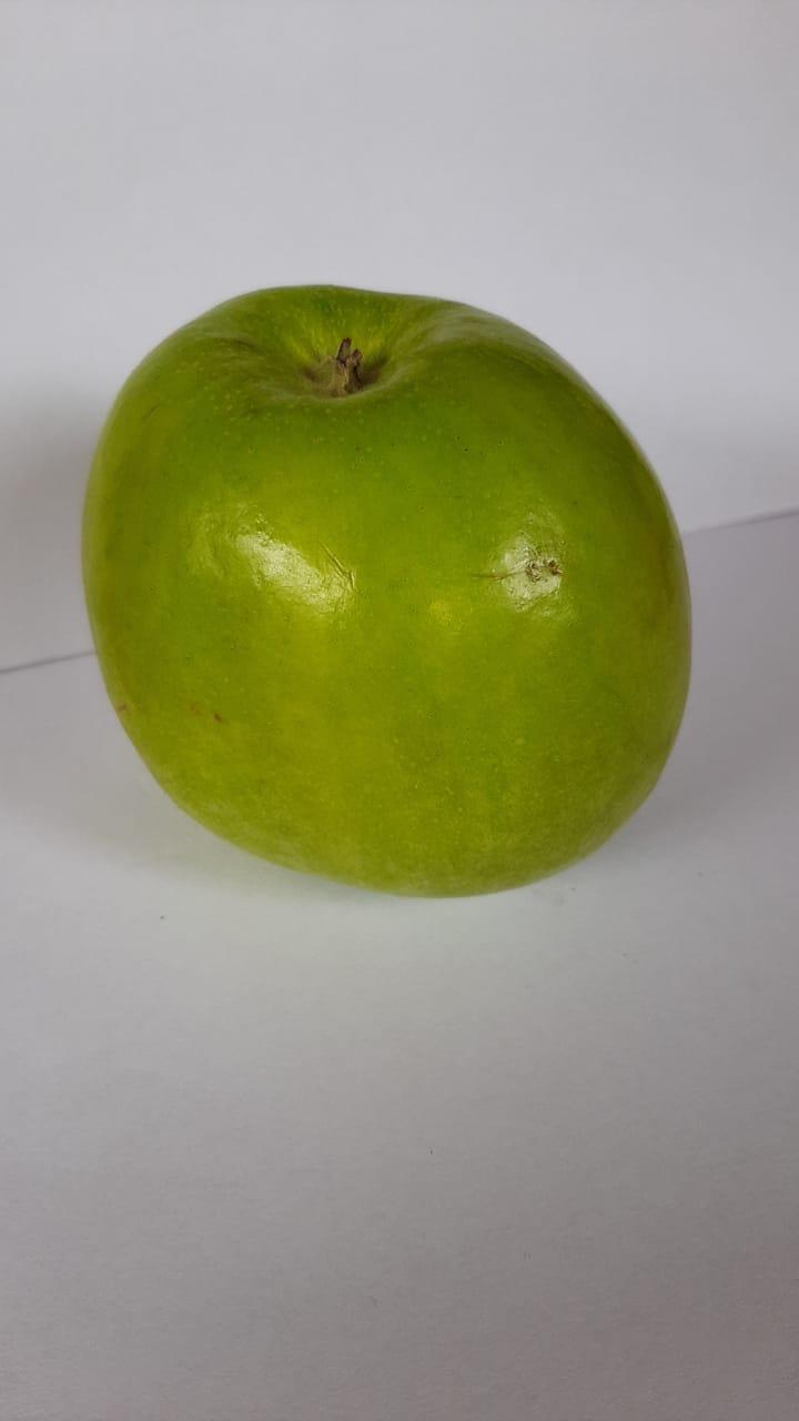 red_green apple Object Detection Dataset and Pre-Trained Model by project-1trcm