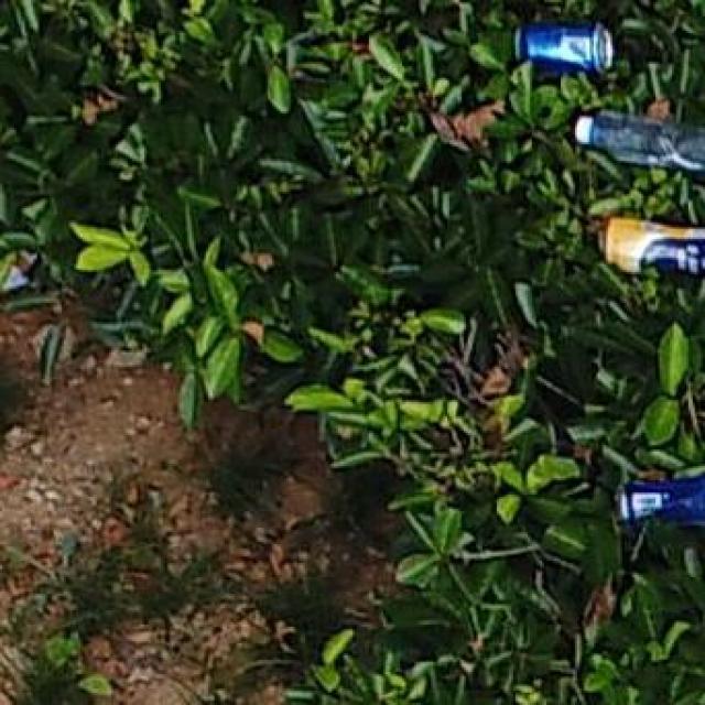 Waste Detection Object Detection Dataset and Pre-Trained Model by Team Mission AI