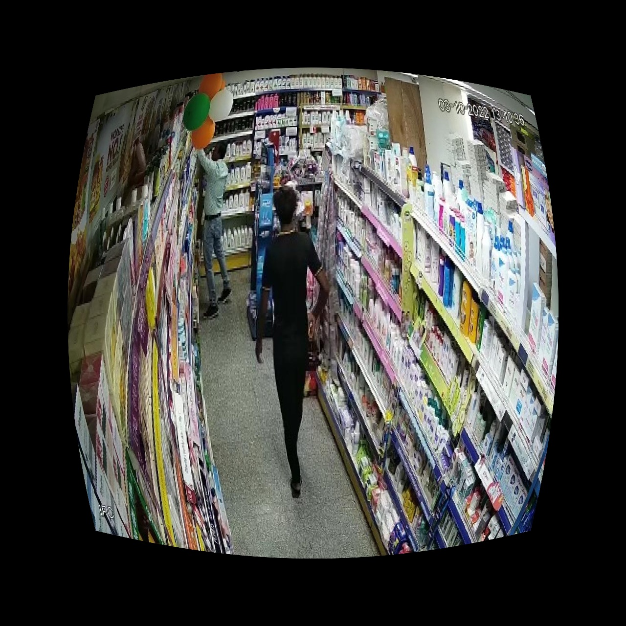 Major_project_fisheye Object Detection Dataset by AkankshaVenus