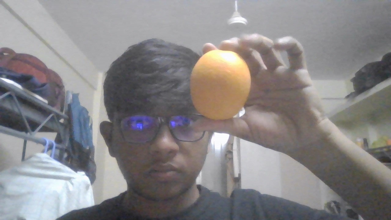 orangekapeel Object Detection Model by Engineers