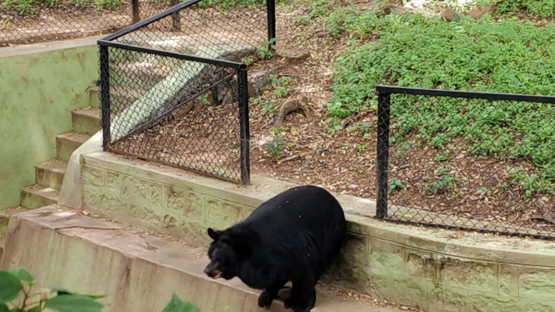 Final Project1 - Roboflow Universe