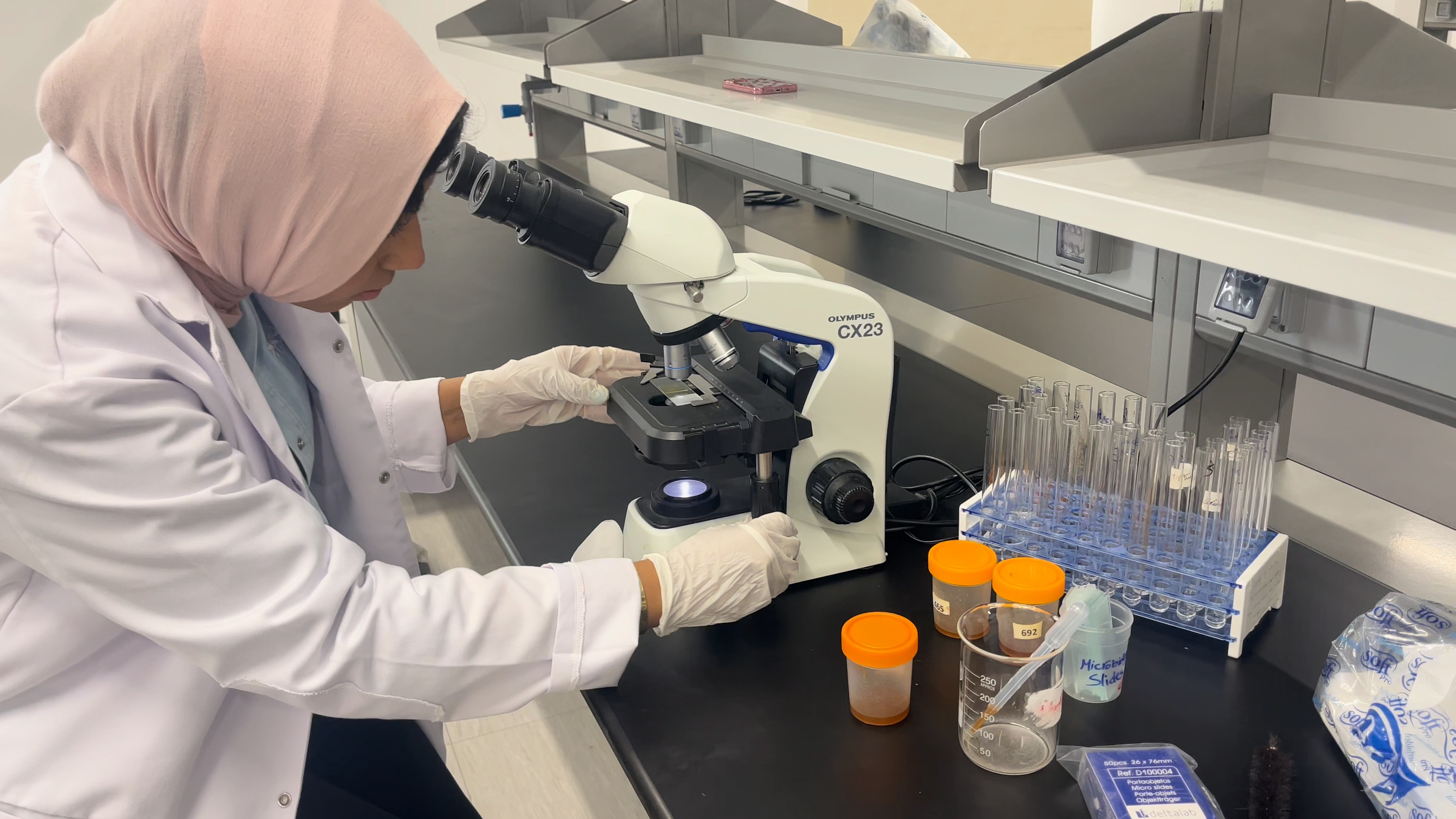 protocol_action_check_ Classification Dataset and Pre-Trained Model by ...