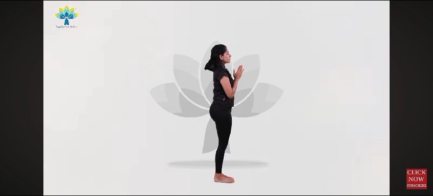 surya namaskar Object Detection Model by work