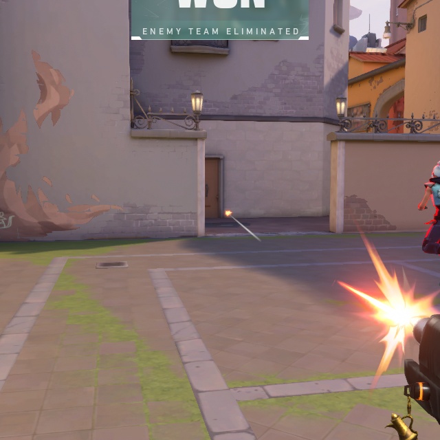 valorant Object Detection Dataset by bots