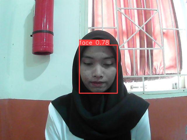 How To Use The Face Det Object Detection Api