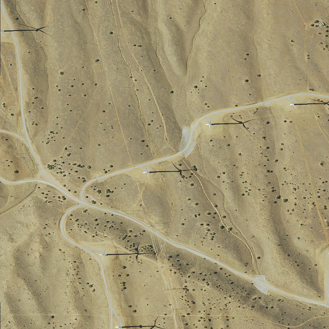 Image Classification Object Detection Dataset and Pre-Trained Model by ...