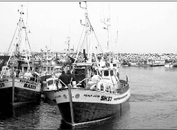 Iceland DHNB workshop Object Detection Dataset by Iceland