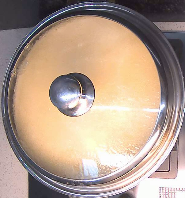 pot0 Instance Segmentation Dataset by shi haofeng