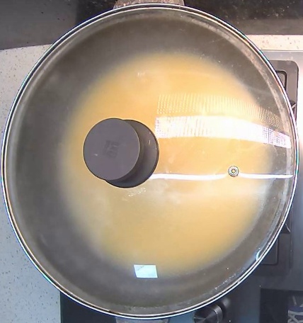 transparent_pot Instance Segmentation Dataset by shi haofeng