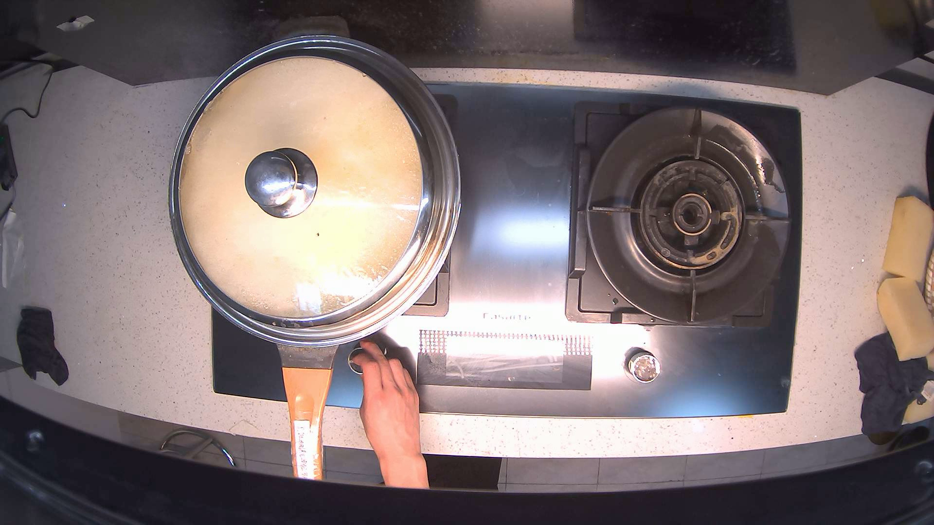 potseg Instance Segmentation Dataset by shi haofeng