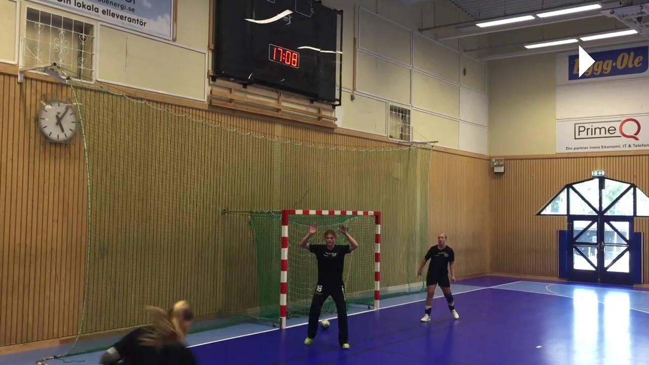 Handboll-AI Object Detection Dataset and Pre-Trained Model by HandVision