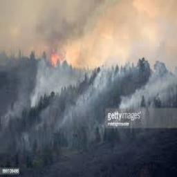 fire_detection Object Detection Dataset and Pre-Trained Model by me