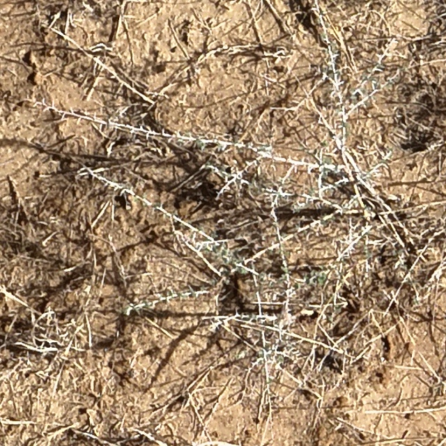 LV Object Detection Dataset by Hemel bv