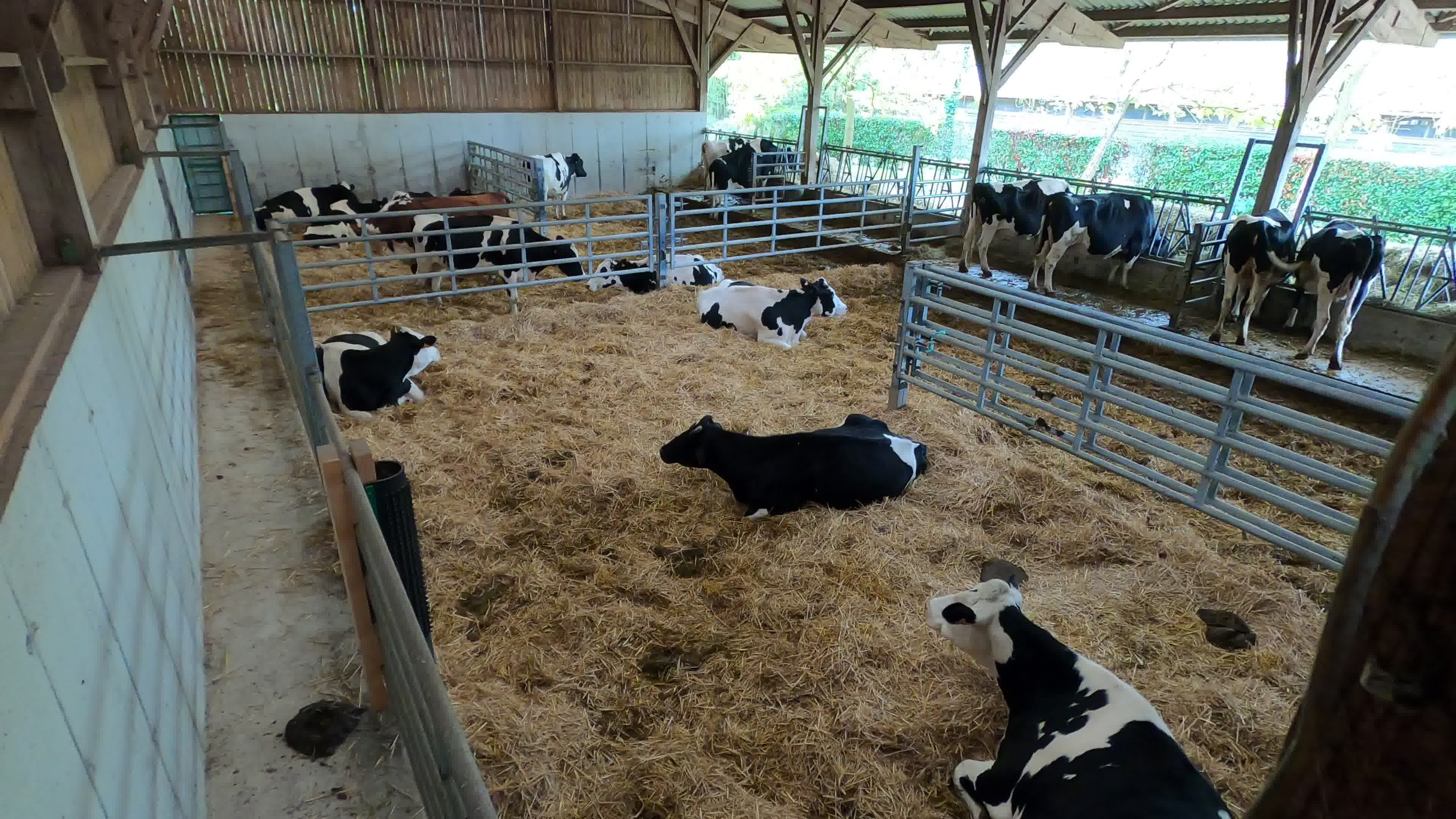 Behavior annotation - Roboflow Universe