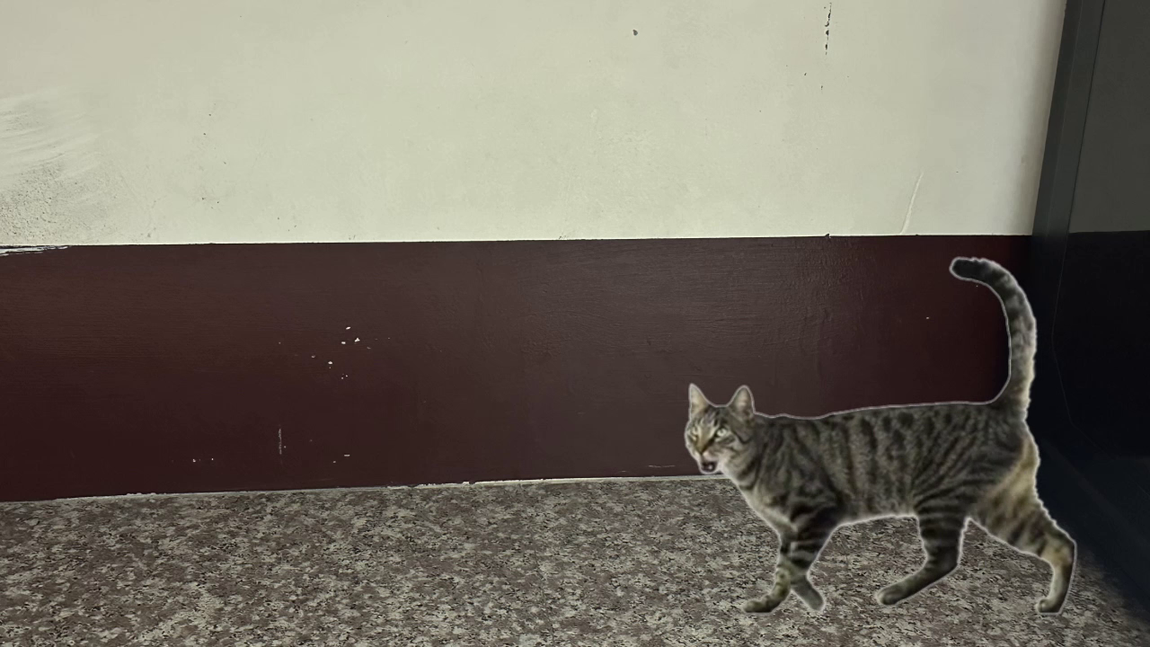 Cat Pose Keypoint Detection Dataset (v30, DarkBrown_val) by PHToastWorkspace