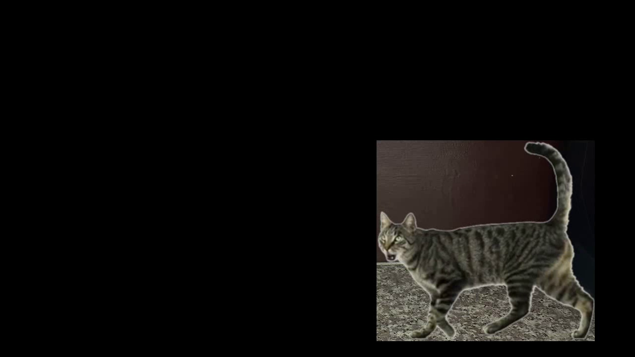 Cat Pose Keypoint Detection Model by PHToastWorkspace