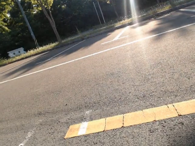 Line Object Detection Dataset And Pre Trained Model By Labeling