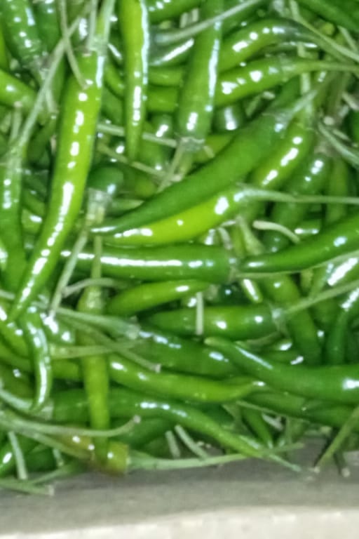 Chilli_Quality_Classification Object Detection Model by haseebs